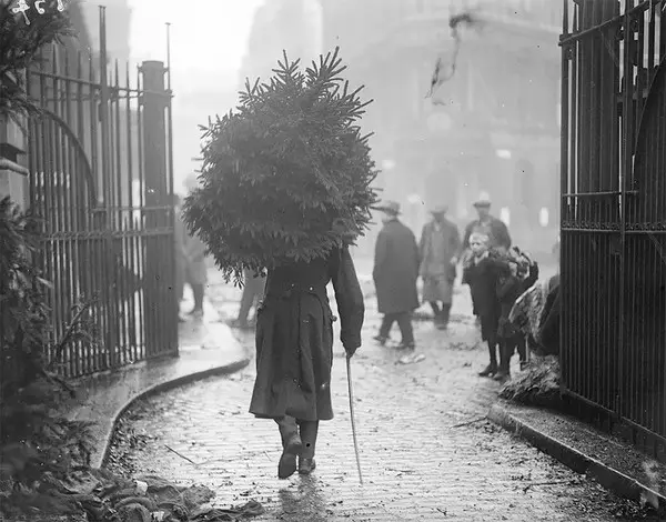 Vintage dan Cryp Natal: Foto 1895-1930 34950_14