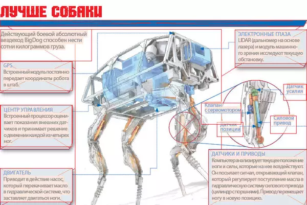 Robot, pujada! 34981_1