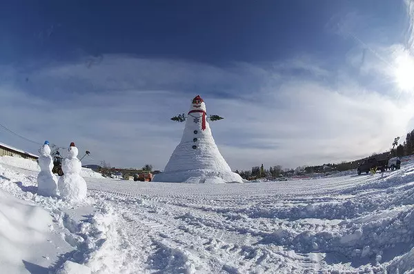 Snowman бо шӯҳратпарастӣ 35160_2