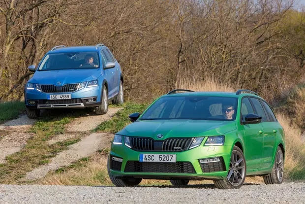 Foto №11 - Una breve guía en el Skoda Octavia actualizado