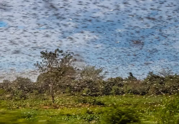 Russiýanyň günortasyndaky aşgar bolan iň täsirli wideo çozuşlary