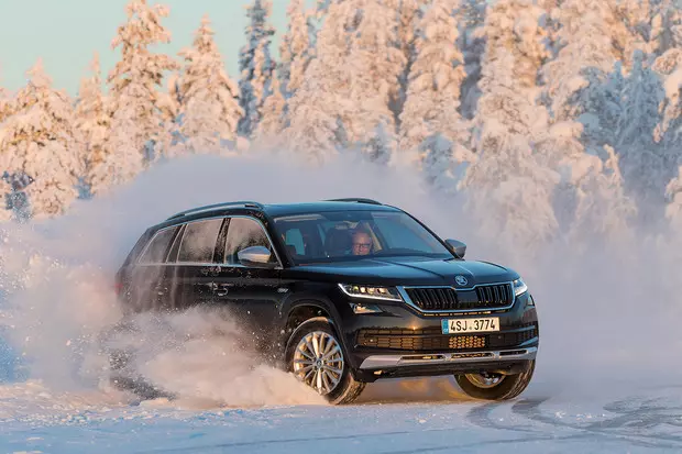 Photo №5 - Skoda Kodiaq: for hunting bear