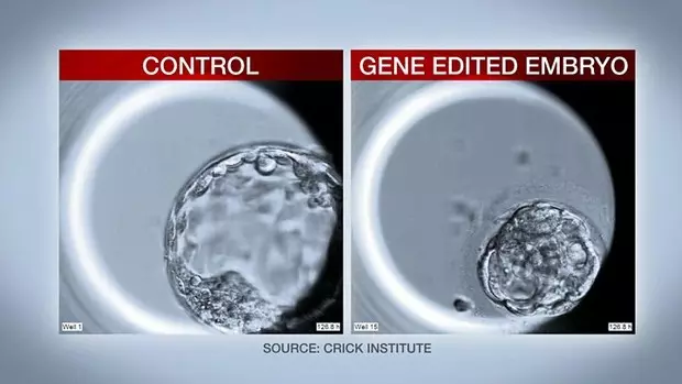 Photo №1 - British right decided on ethical editing human genome