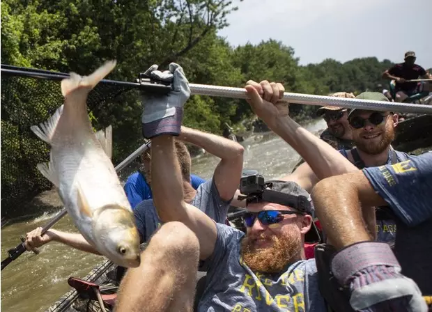 Numéro de photo 1 - Vidéo choquante sur laquelle les touristes sans défense se battent de poisson volant