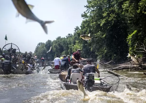 Vídeo chocante em quais turistas indefesos estão lutando de voar peixes 41575_10