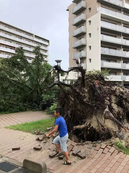 ໃນປະເທດຍີ່ປຸ່ນ, raging ຂອງ typhoon ທີ່ເຂັ້ມແຂງທີ່ສຸດໃນໄລຍະ 20 ປີທີ່ຜ່ານມາ (ຮູບພາບ) 44145_6