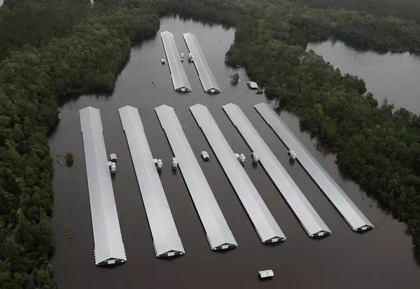 The consequences of the Florence hurricane in the United States, shot from drone (gallery) 45359_12