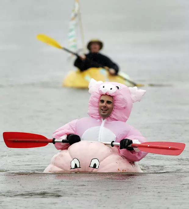 דלעת Regatta.