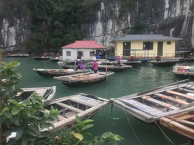 Poto №3 - Vietnam: ambeu tangkal korma isuk-isuk. Bagian 3.