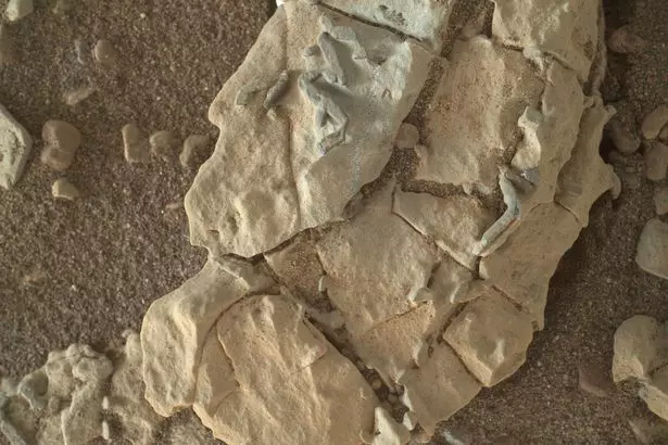 Foto 1 - NASA fsheh dëshmi se ka pasur jetë në Mars! Ekspozimi me zë të lartë shkencëtar trim