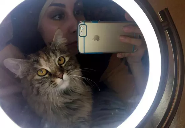 Foto №1 - Video, come un gatto che reagisce scetticamente al team della hostess, ha segnato 2 milioni di visualizzazioni