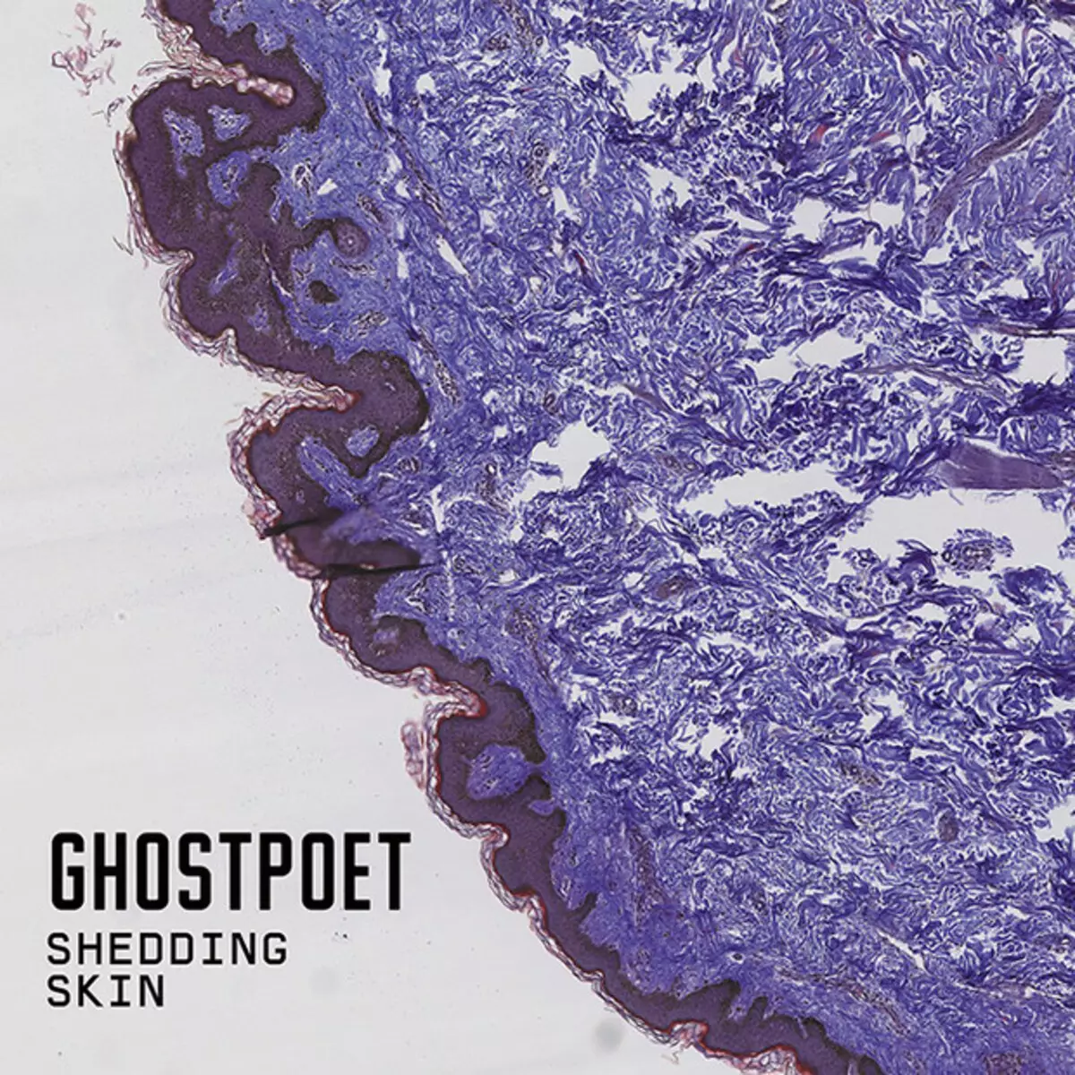 Ghostpoet, maqaarka daadinta