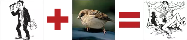 Sparrows Glej svet v rožnatih barvah