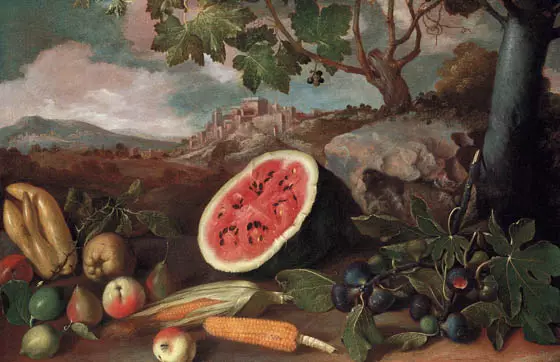 Zdjęcie №1 - Co zjadł nasze przodkowie: brzoskwinie z wielkością szterlingową, fioletowymi marchwiami i pięcioksiężnymi arbuzami