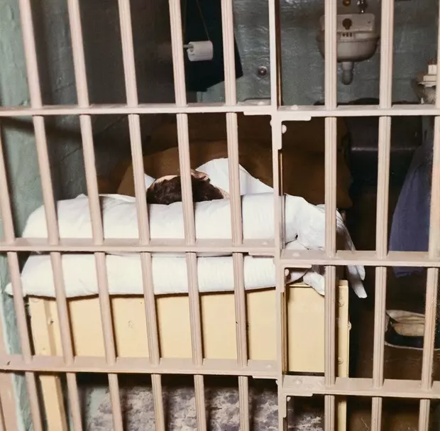 FOTO №1 - Kako su izgledali ciljevi, napravljeni eskalirajući iz alcatraza zatvorenika