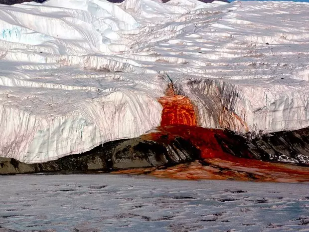 Nọmba foto 1 - Mmiri Wụsa Ọbara na Antarctica na ihe omimi dị ịtụnanya atọ dị ịtụnanya nke okike