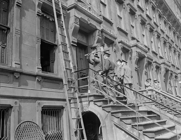 Foto numero 3 - Come nascondersi dalla polizia e dai collezionisti e dall'abisso da lanciare a casa tua