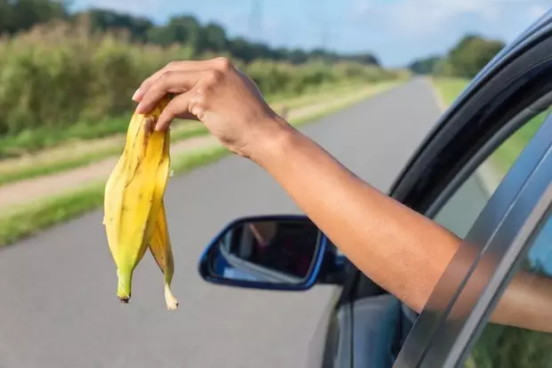 写真№2 - 運転手にするもの