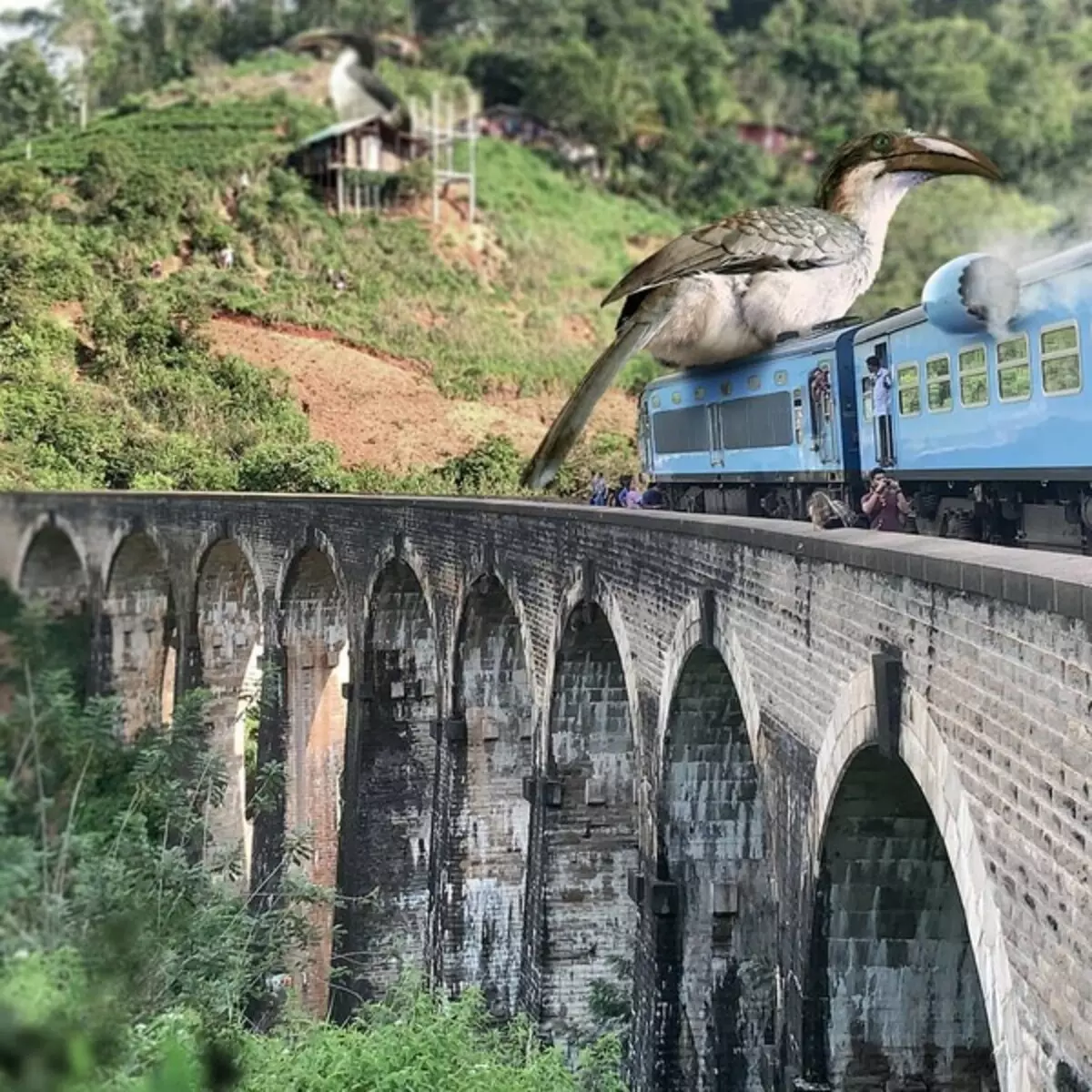 කලා පිත්තර පයෙස් අපූරු ජීවීන් සහ මිත්රශීලී ඇන්ඩ්රොයිඩ් 73628_14