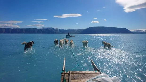 Sary №1 - Twips of the Day: Ny sombin-tsarin'ny alika dia tsara vintana Sanya amin'ny glacier monstering any Greenland