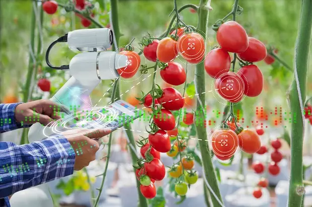 Bild №12 - Den neie Roboter vum Furrow gëtt net verduerwen. Iwwer den Erfolleg vun der Landwirtschaft vum Xxi Joerhonnert