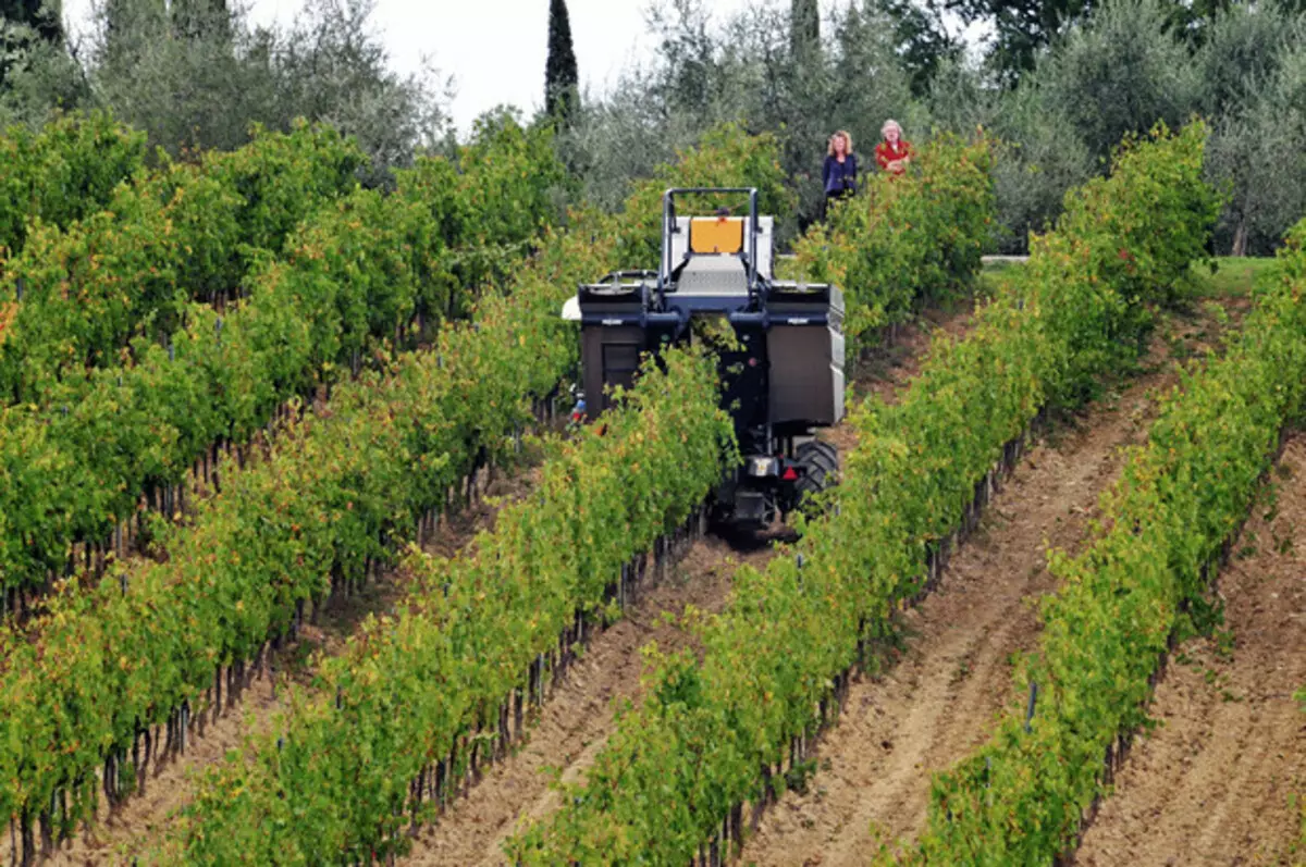 Foto №4 - Den neie Roboter vum Furrow wäert net verduerwen. Iwwer den Erfolleg vun der Landwirtschaft vum Xxi Joerhonnert