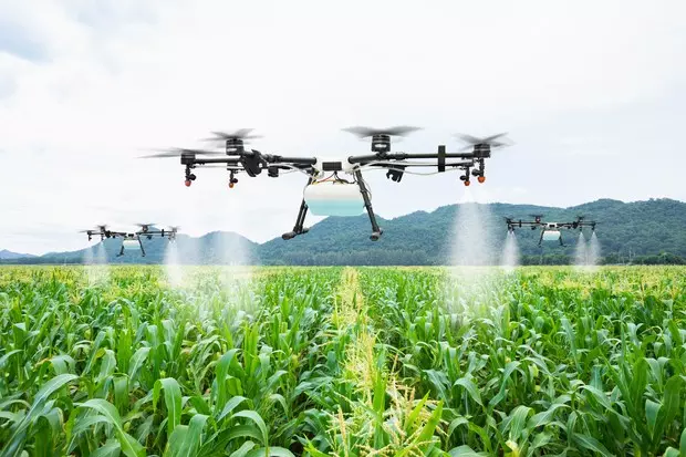 Foto №6 - El nou robot del solc no es farà malbé. Sobre l'èxit de l'agricultura del segle XXI