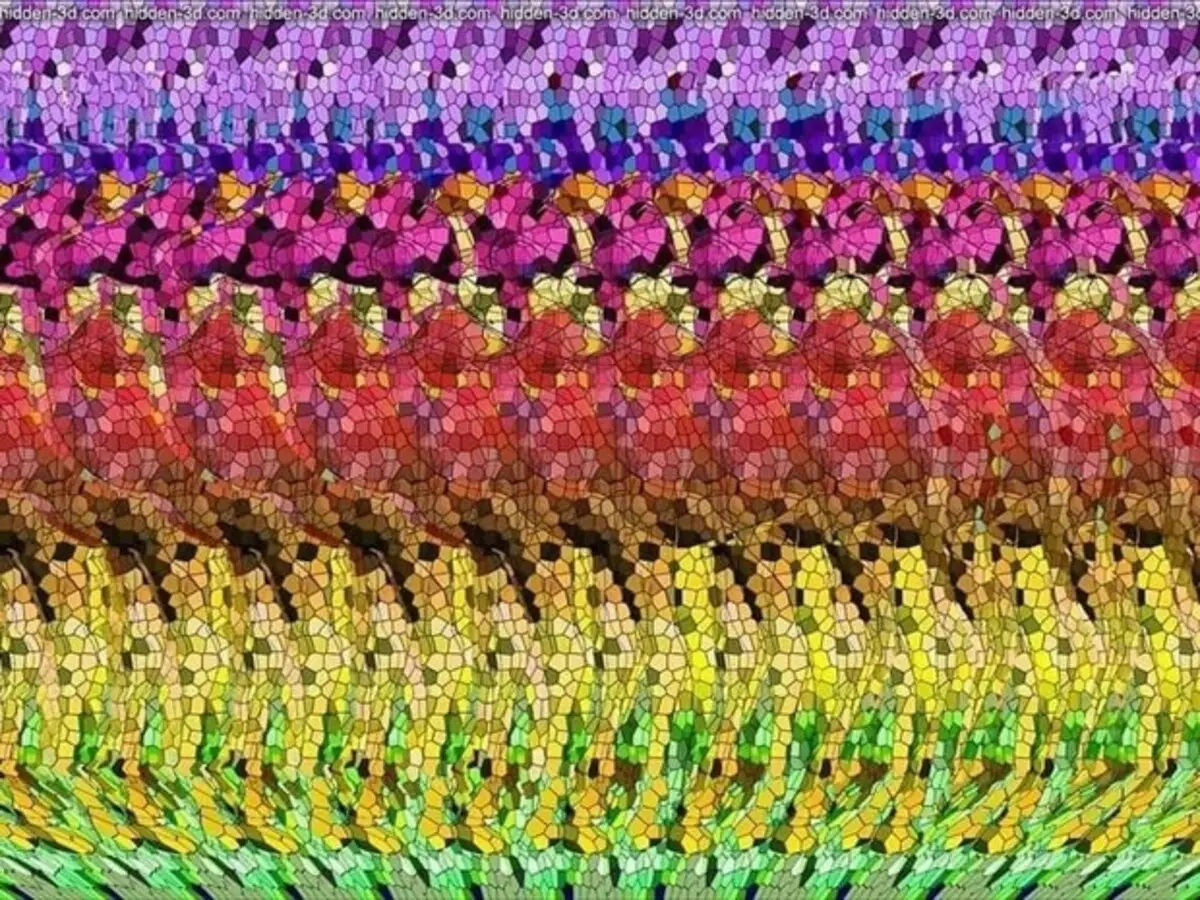 Photo №2 - I-stereogram lapho ngisho nalabo abangakaze bakubone kuzobona isithombe se-3D