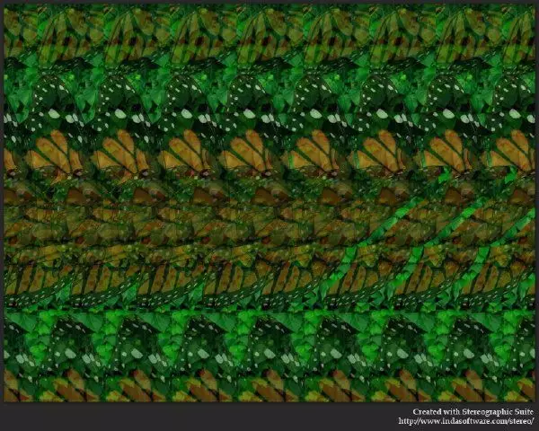 Photo №4 - I-stereogram lapho ngisho nalabo abangakaze bakubone kuzobona isithombe se-3D