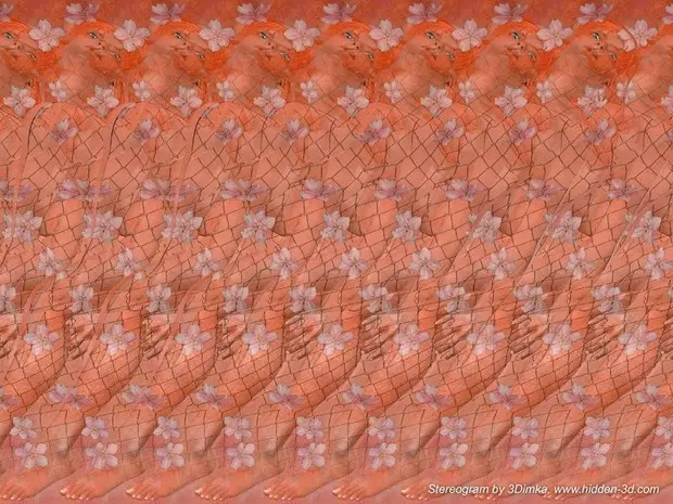 Photo №7 - I-stereogram lapho ngisho nalabo abangakaze bakubone kuzobona isithombe se-3D