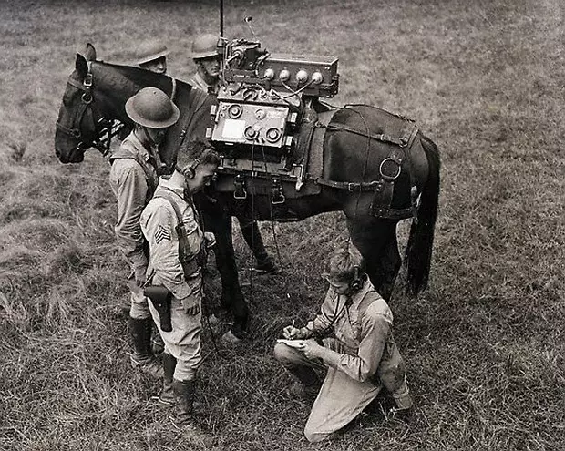 Foto №2 - Brutal Heroism: Brandende varkens, anti-tankmuizen en andere dieren die de uittocht hebben beïnvloed