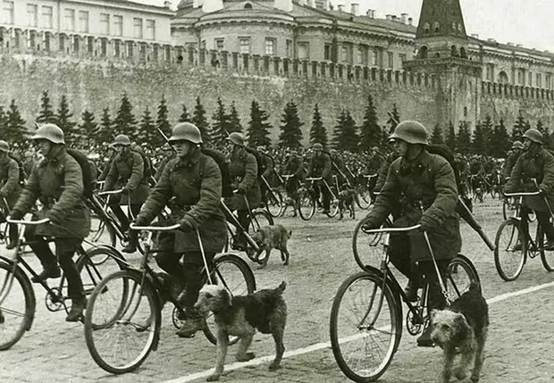 Photo №43 - Unadiended History of Bicycle Troops