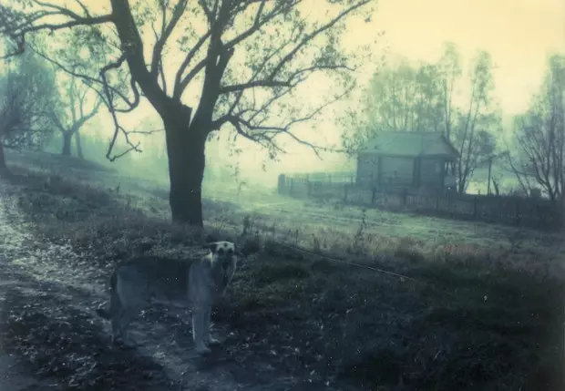 Foto №1 - 26 kontemplatīvās fotogrāfijas-Polaroids filmē Andrejs Tarkovsky