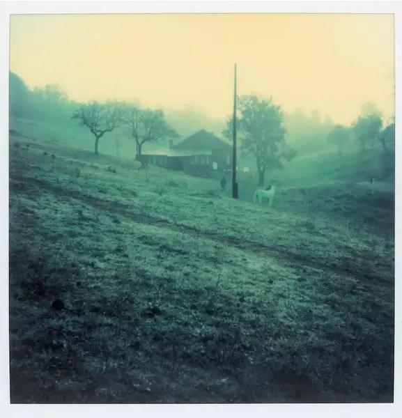 26 inofungisisa mafoto-polaroids yakadzvanywa na Andrey Tarkovsky 77022_13