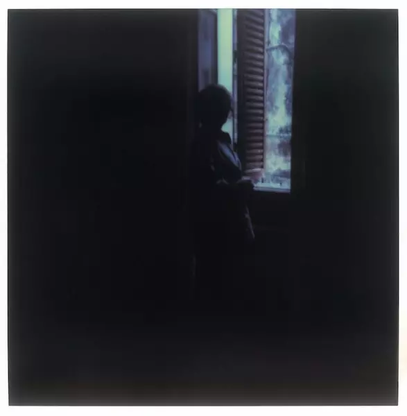 26 Liphallente tsa Tlhaloso-Polaroid li ngotsoe ke Andrey Tarkovsky 77022_20