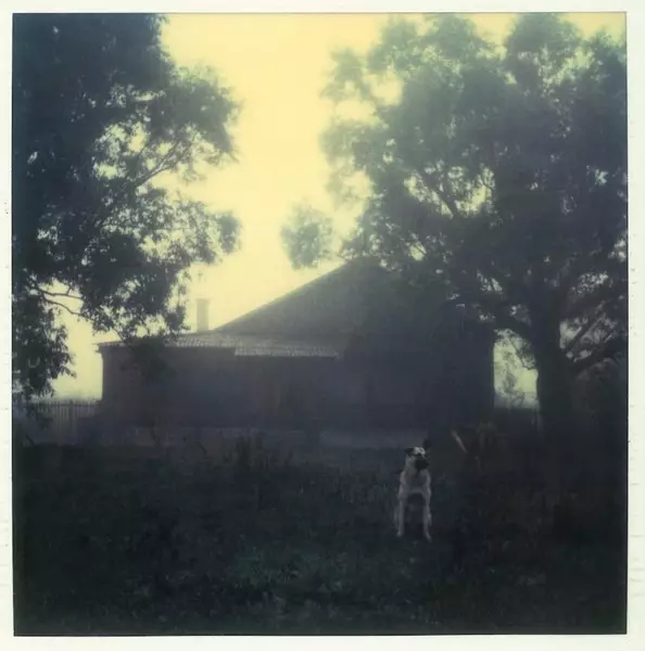 26 kontemplativne fotografije-polaroide, ki jih je posnel Andrey Tarkovsky 77022_25