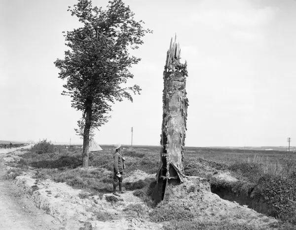 Árvore falsa - torre de observação da primeira guerra mundial 77067_2