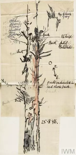 Faux arbre - tour d'observation de la Première Guerre mondiale 77067_3