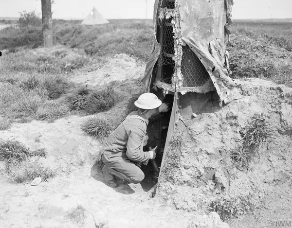 Árvore falsa - torre de observação da primeira guerra mundial 77067_4