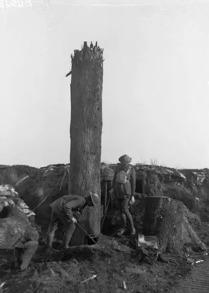 Faux arbre - tour d'observation de la Première Guerre mondiale 77067_6