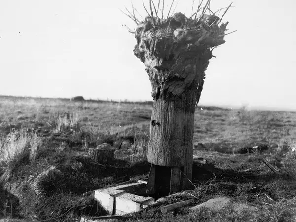 Faux arbre - tour d'observation de la Première Guerre mondiale 77067_9