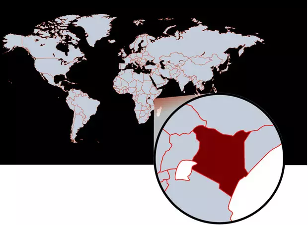 الصورة №2 - صورة اليوم: شجرة الحياة، كينيا