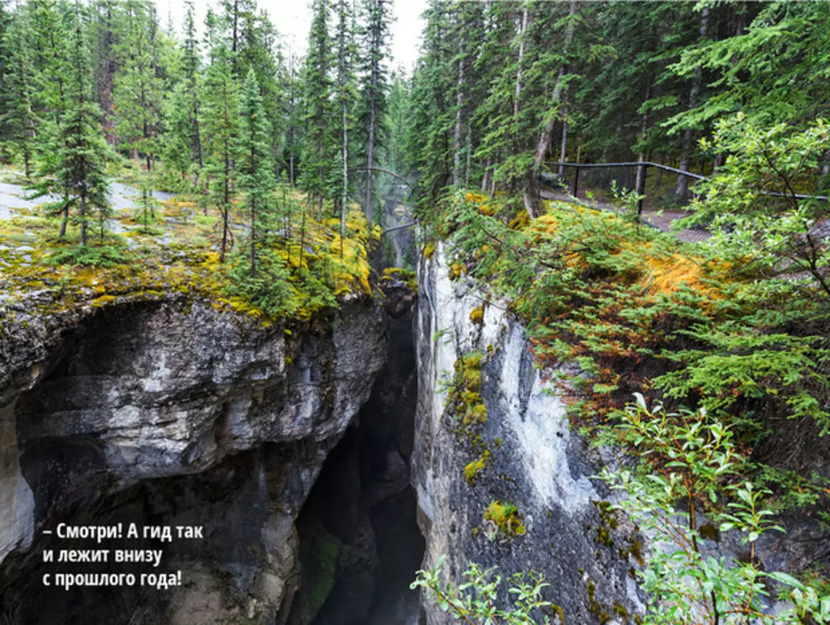 Hình ảnh №1 - Kiểm tra tại chỗ: Treo trái tim, Canada