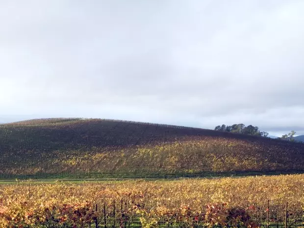 Foto číslo 2 - Historie jedné fotografie: Screensaver Windows XP, leden 1996