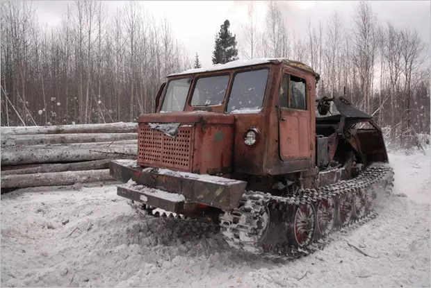 Photo №15 - Siberian chainsaw massacre